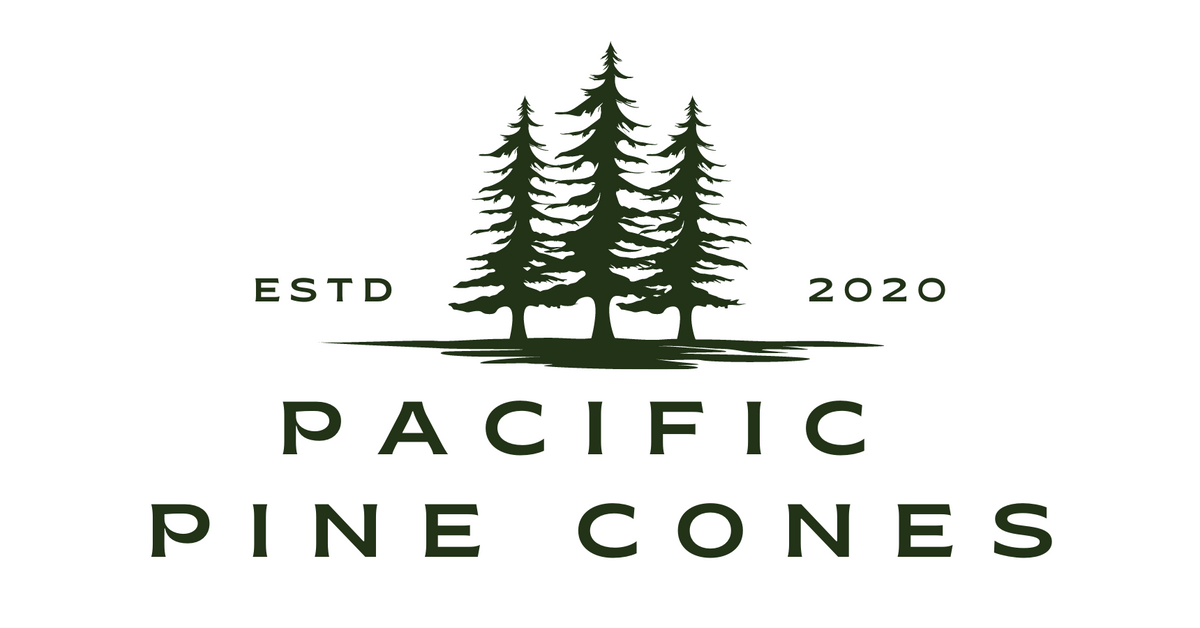 Pacific Pine Cones - free delivery anywhere in Australia